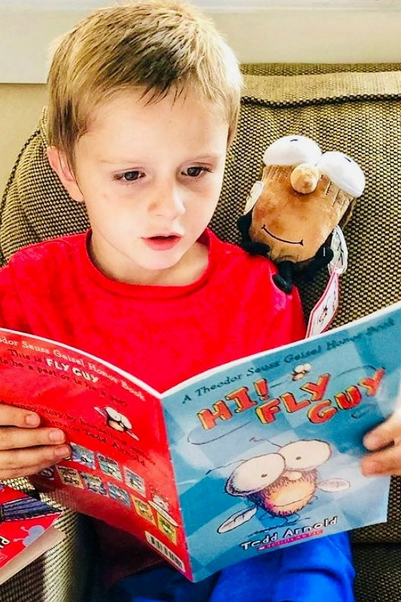 Fly Guy Plush – Edie Boutique